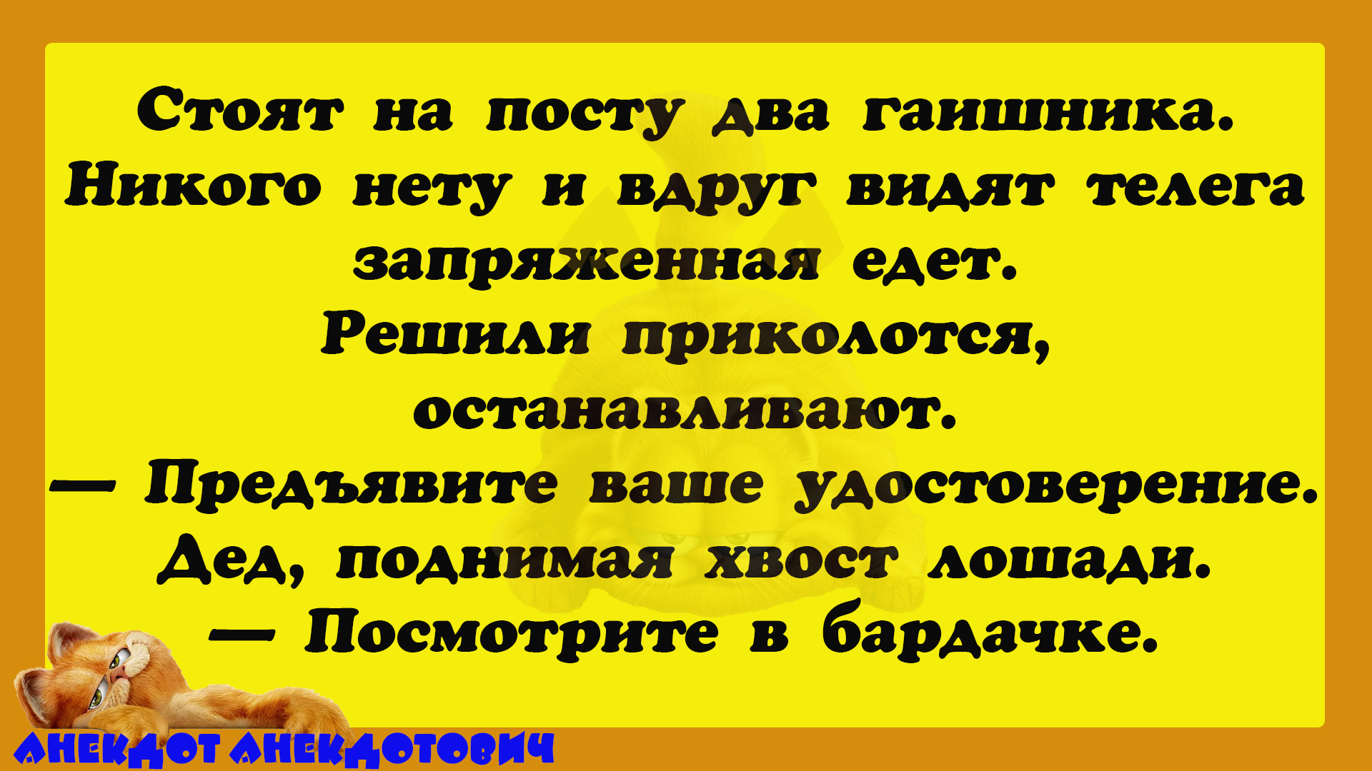 Сколько стоят трусы? Подборка смешных анекдотов