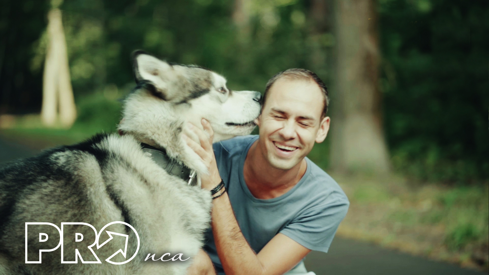 Дмитрий Осипов: "PRO пса"