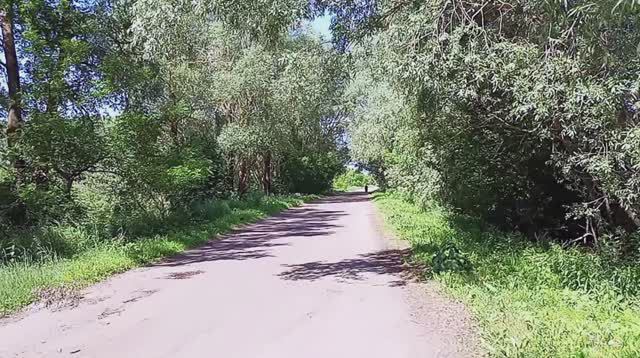 Велопоездка к селу Озерки