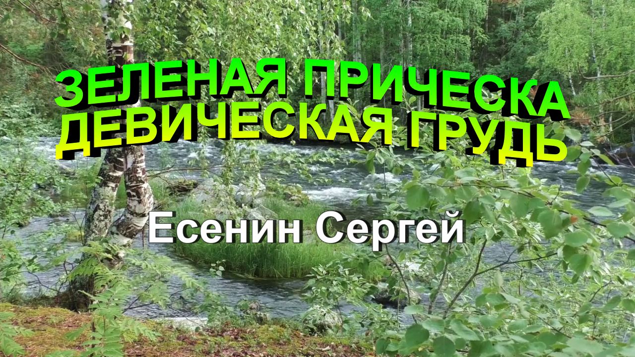 Стихотворение "Зеленая прическа девическая грудь"  Есенин Сергей