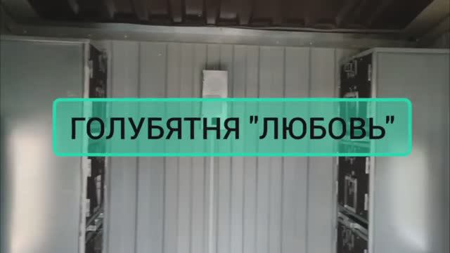 ГОЛУБЯТНИ В РОССИИ, какими они должны быть_ ОБЗОР УТЕПЛЕННОЙ ГОЛУБЯТНИ!