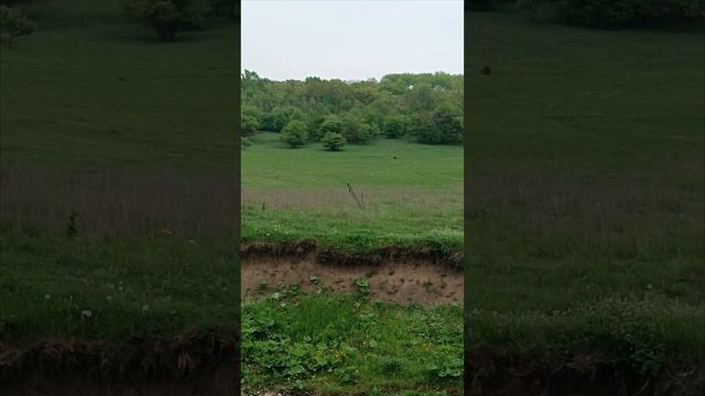 Крымская природа весной