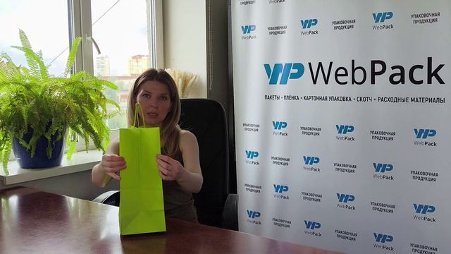 Крафт пакет с кручеными ручками, 260*150*350 (Ш*Г*В) мм (салатовый)