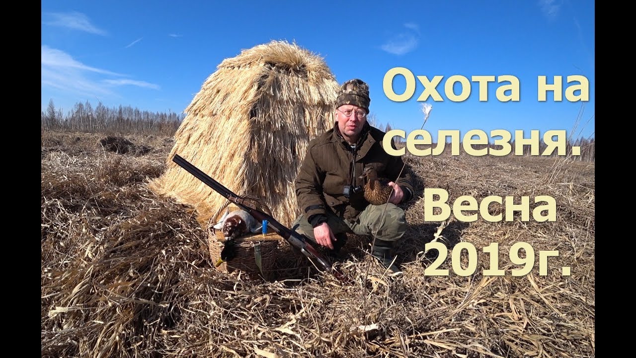 Охота на селезня с подсадной уткой и манком. Бобры. Открытие, весна 2019г.