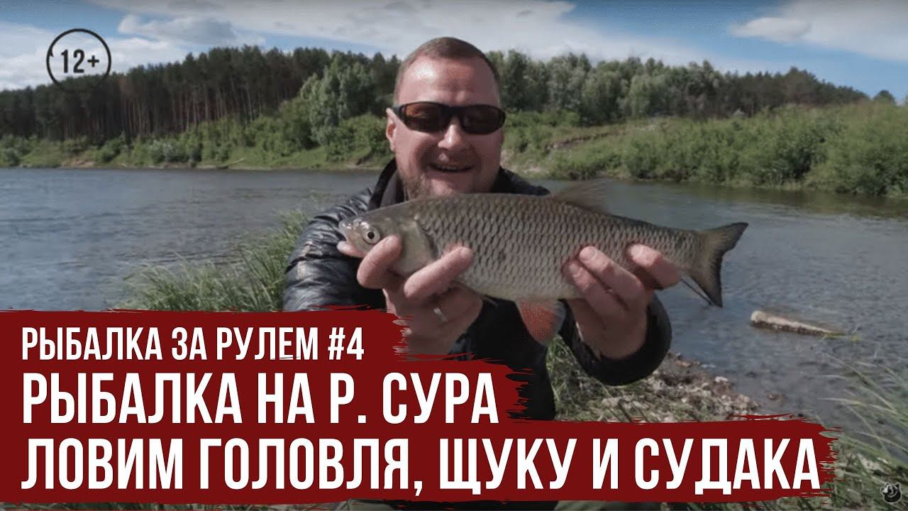 Рыбалка на р. Сура ловим головля, щуку и судака // Рыбалка за рулем #4 / #14