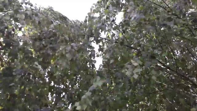 Нужно огородникам