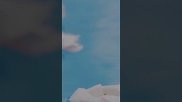 Как избавиться от крыс