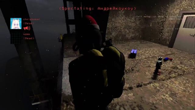 Попался на ловушку