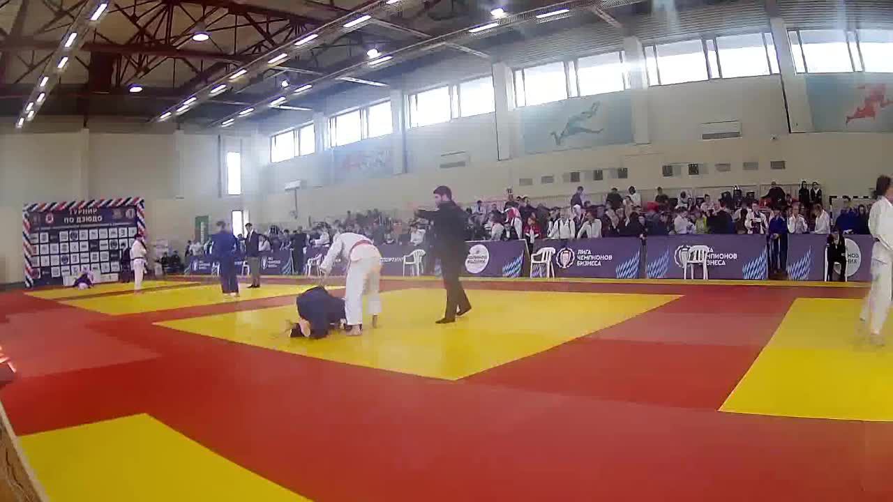 На призы крестоносного  освободительного движения 3 Татами. Часть 3.