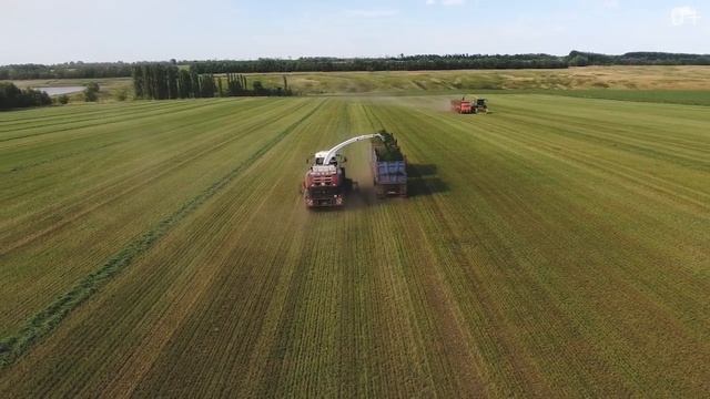 Кормоуборочный комбайн RSM F 2650 - незаменимый помощник в хозяйстве