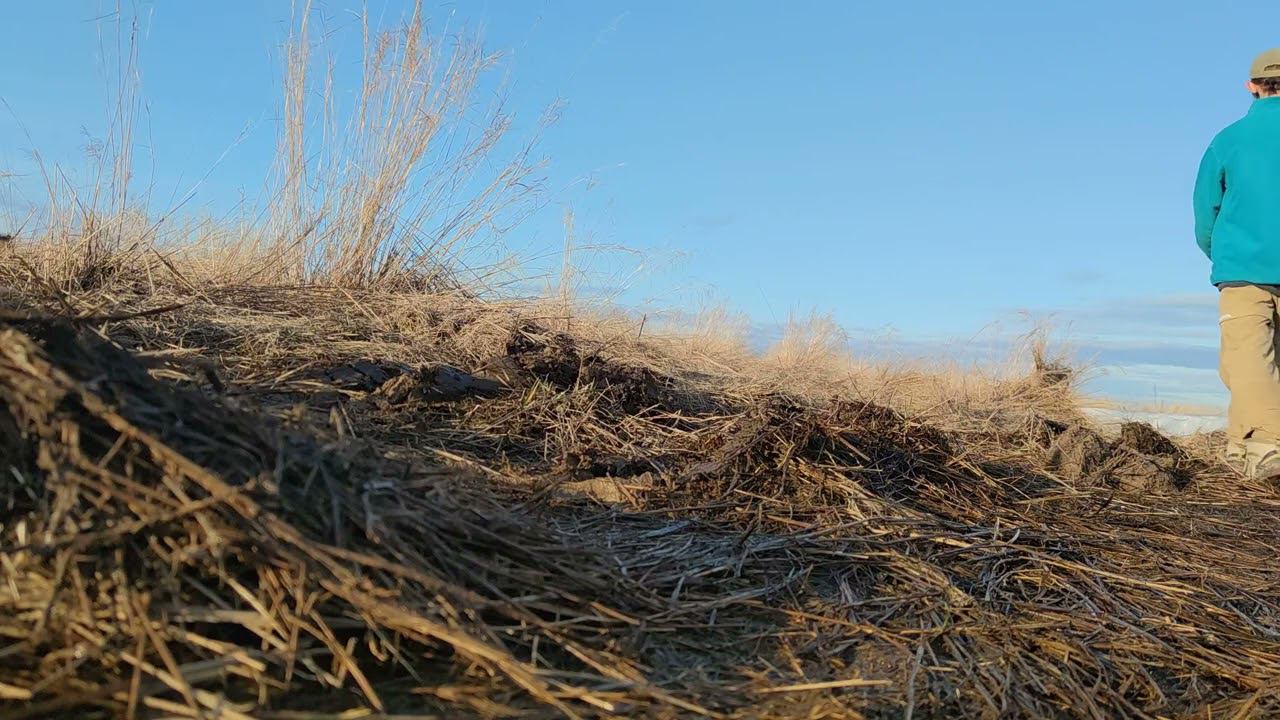 лопата совковая на мягком и траве ! без расчистки , на паркинге,   достойно !