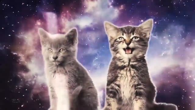 Чернышка Шипицина песня мя мяу