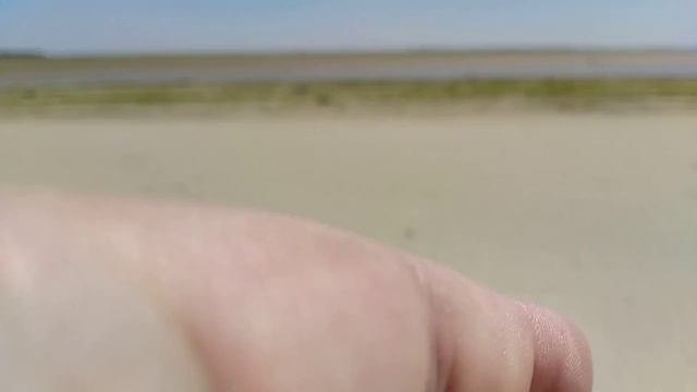 море_20200805_112915