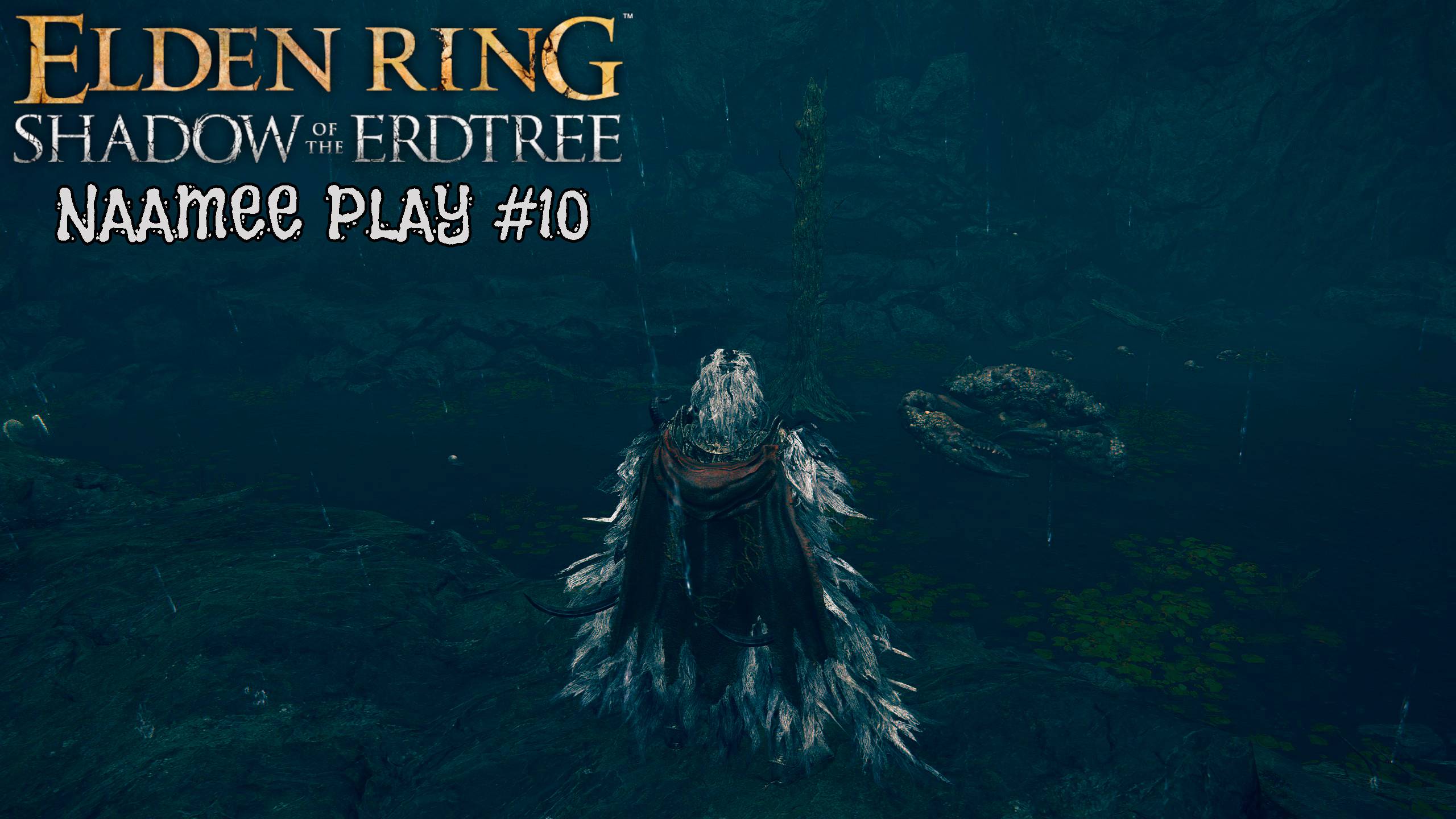 ELDEN RING Shadow of the Erdtree #10 / В поиске приключений