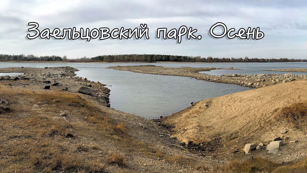 Заельцовский парк. Осень