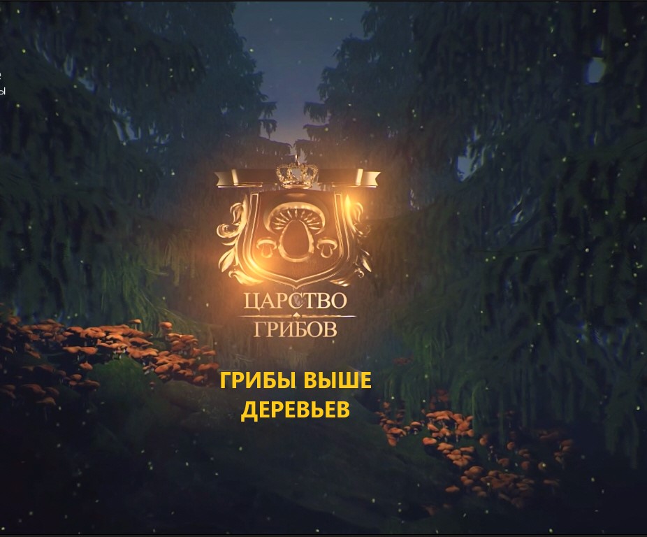 ЦАРСТВО ГРИБОВ. Грибы выше деревьев