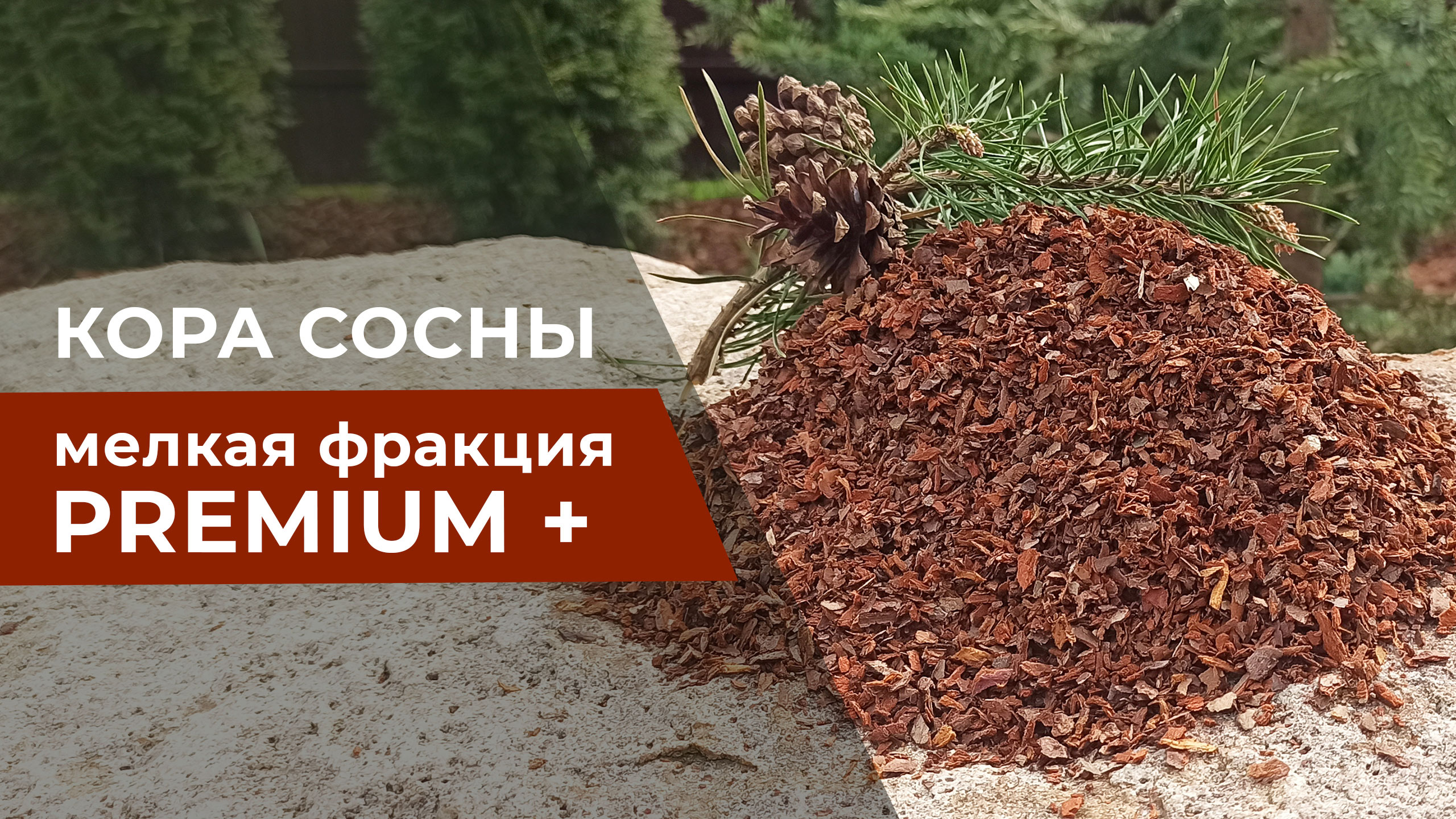 Мульчирование - кора сосны мелкой фракции