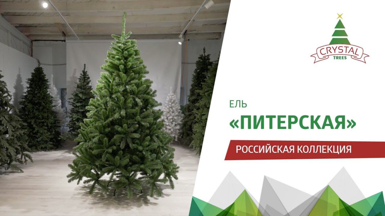 CRYSTAL TREES | Обзор | Ель "Питерская"
