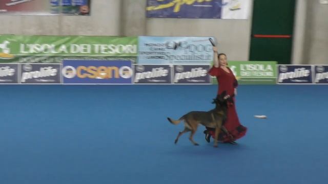 Малинуа фристайл соревнования