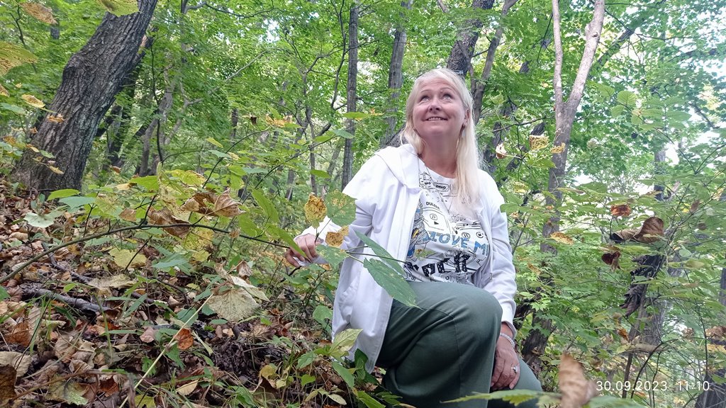 Осенний лес...30.09.23