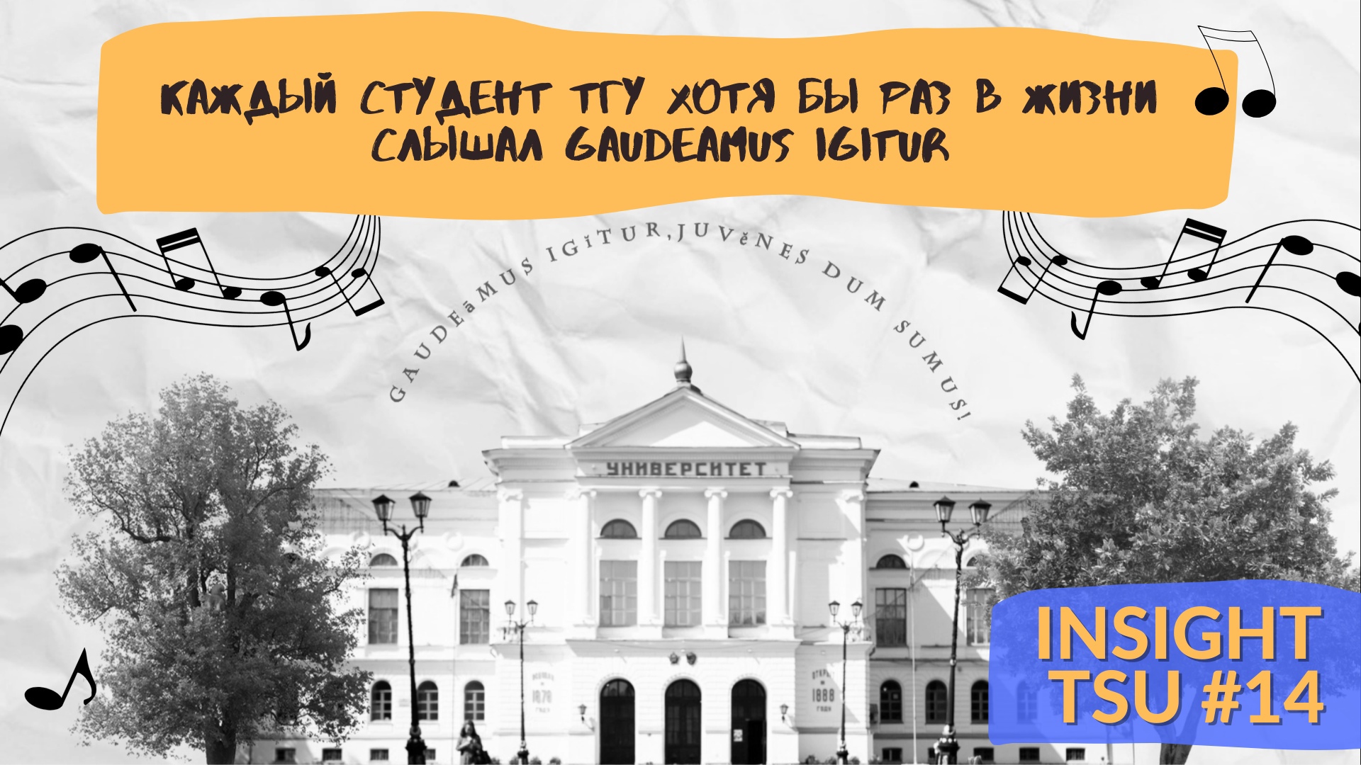 Insight TSU 14 | Капелла