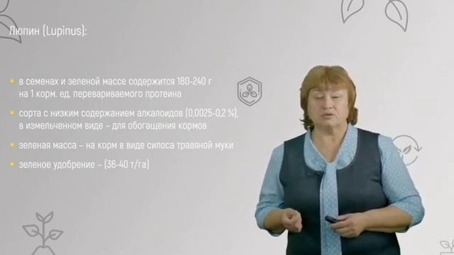 10. Общая характеристика основных видов зернобобовых культур