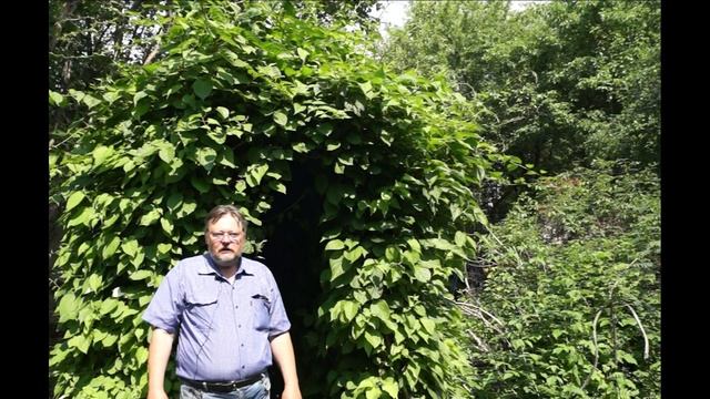 Благодарность студентам