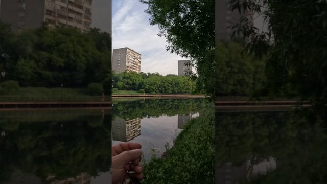 Крупный Карась ! Мормышинг ! Карась на Спиннинг ! Силиконовые приманки !