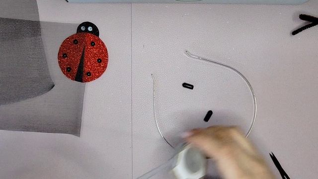 Ободок божья коровка .