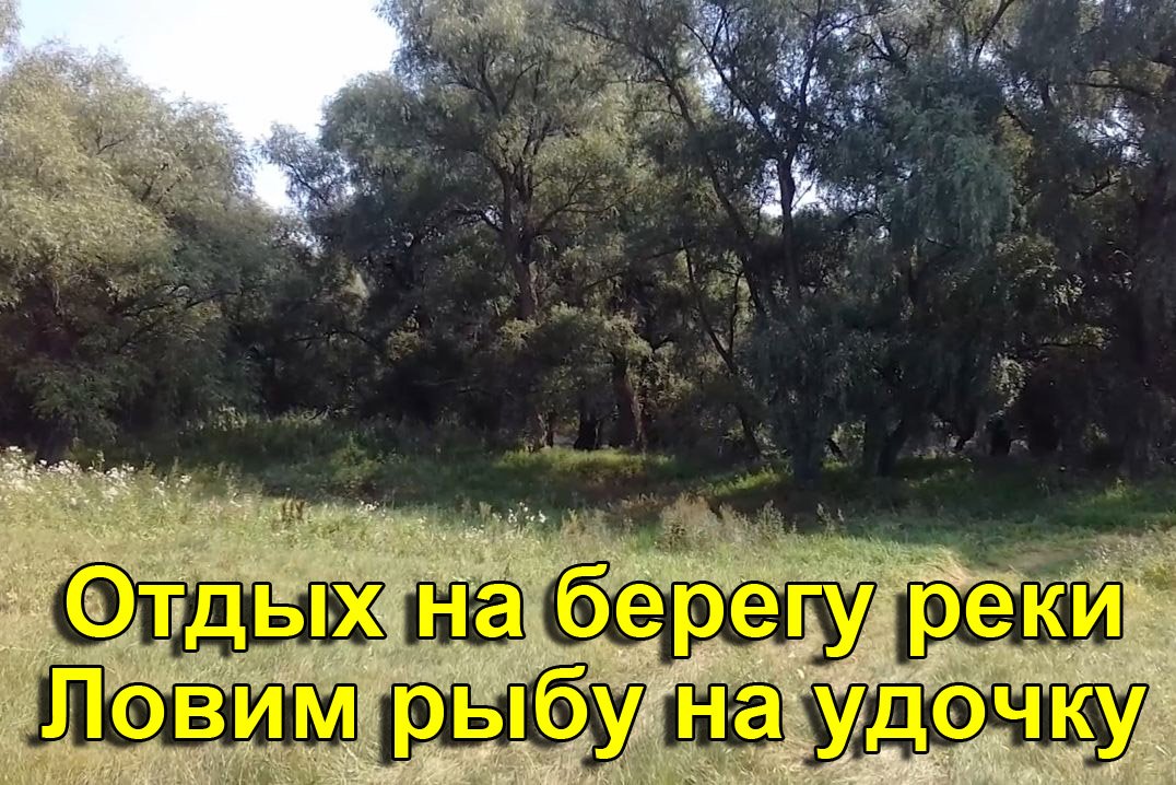 Отдых на берегу реки. Ловим рыбу на удочку