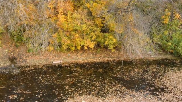 Осень на речке в 2,7к 60fps. Золотая Осень. Река Ахтуба. Осеняя листва. Футажи Осени. Релакс-видео.