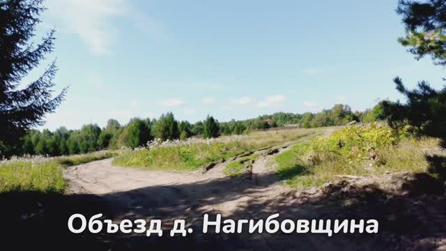 Деревня Нагибовщина, объезд.mp4
