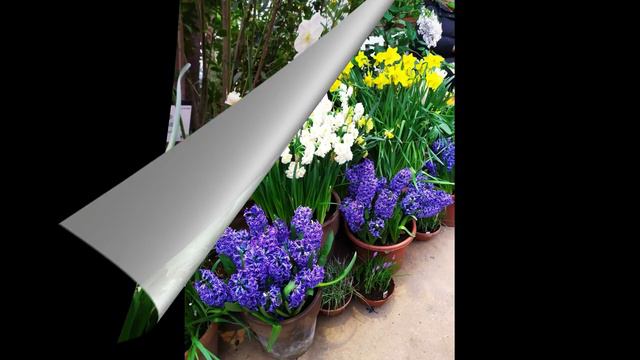 #65 АРХИВ: ВЫСТАВКА РЕПЕТИЦИЯ ВЕСНЫ | Наши рекомендации | С 8 МАРТА, МИЛЫЕ ДАМЫ!