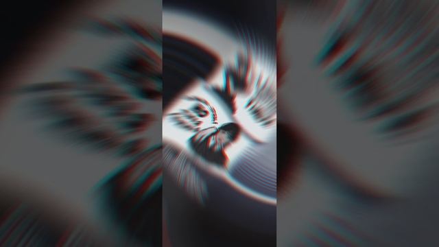 Наклейки на карту "Wednesday"