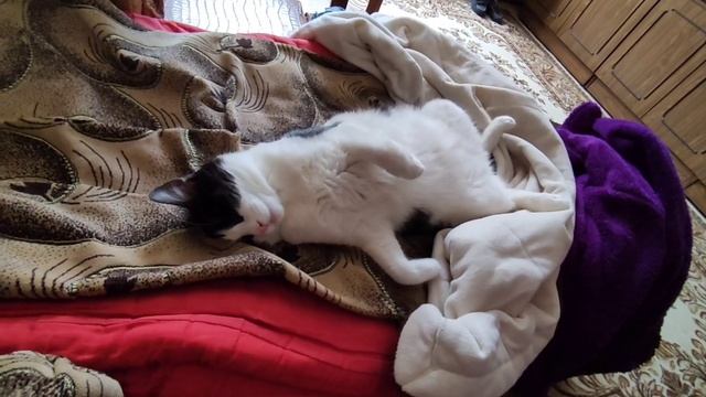 Кресло как раз по моему росту