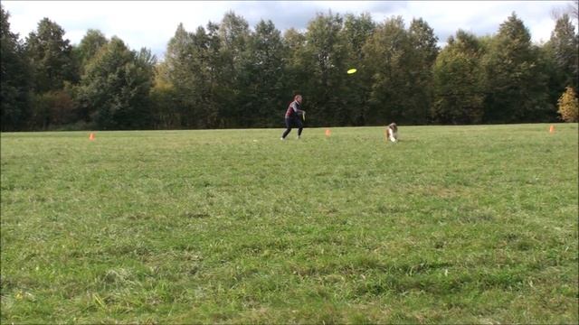 USDDN WF QUALIFIER Маргарита и Вижн R3.mp4