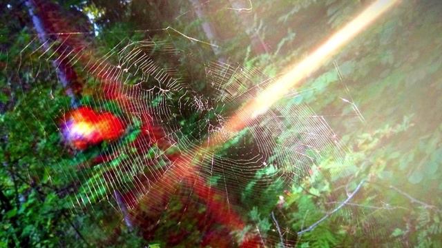 Прорванная паутина. Медитация.