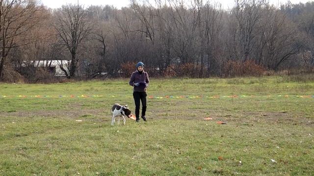 ВДНФ Алёна и Хантер.mp4