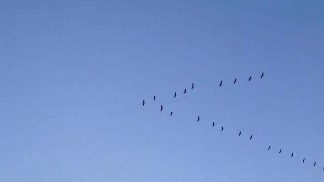 Бессмертный полк театра Лавренёва 9.05.2023