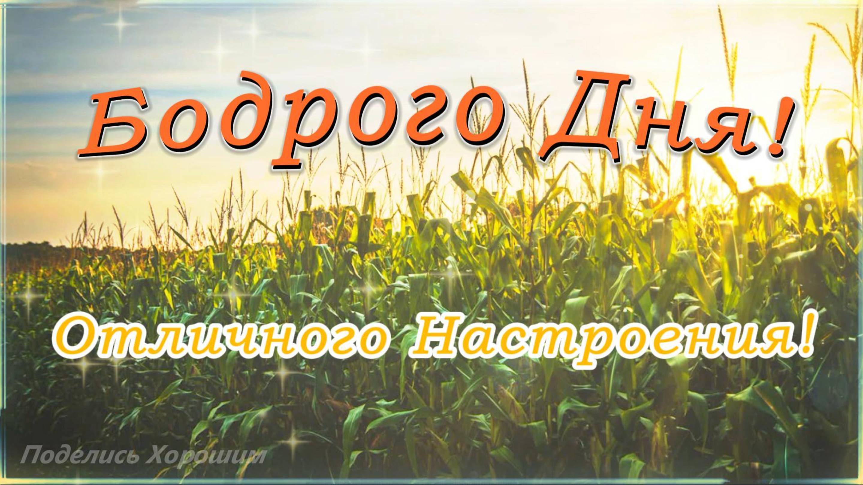 Бодрого Дня! Отличного Настроения!