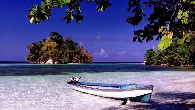 Берега с пальмами