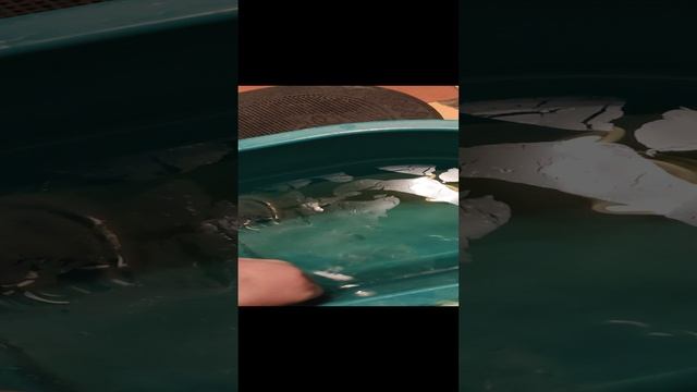 Вода водопроводнослизистая