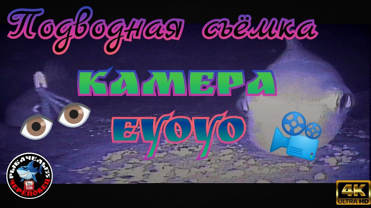 Камера "Eyoyo"-аналог мурены от практика!!! Подводные съёмки Окуня!!!