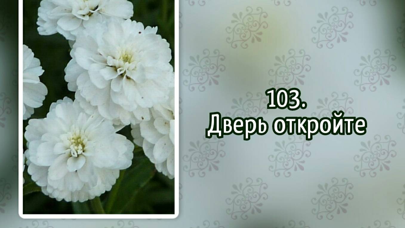 Гимны надежды 103 Дверь откройте (-)