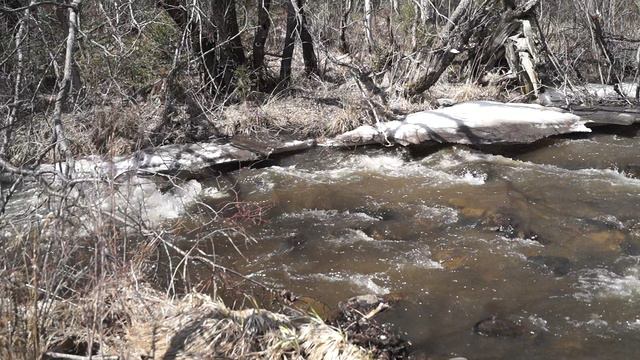 Горная речушка весной