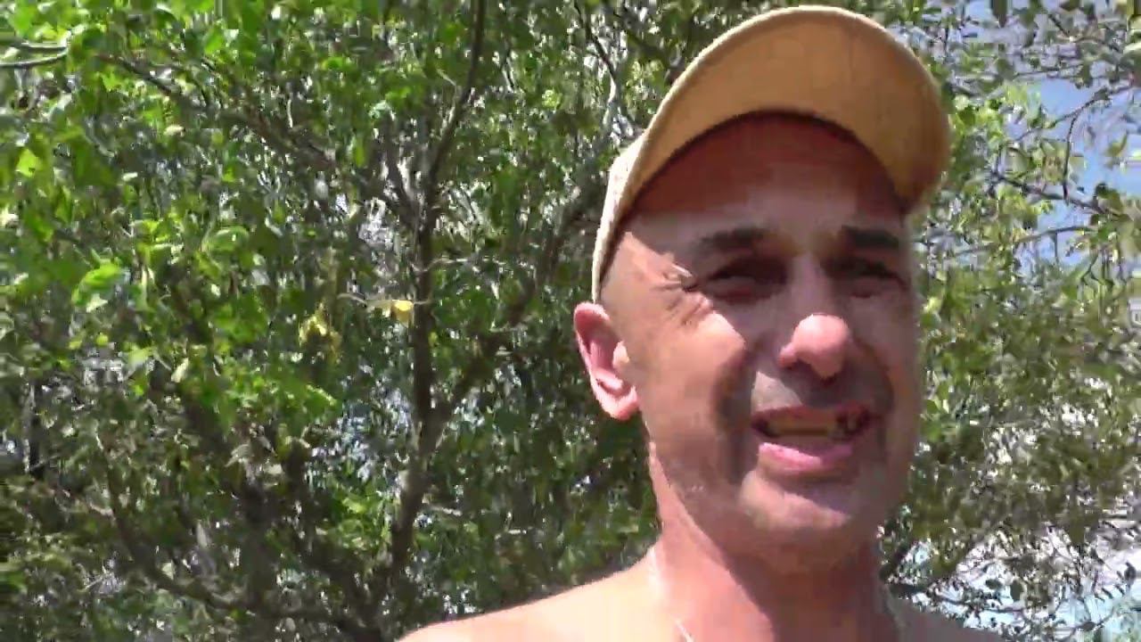 Начал сериал "Домик на дереве" 1 серия. Обязательно смотрите, не пожалеете.