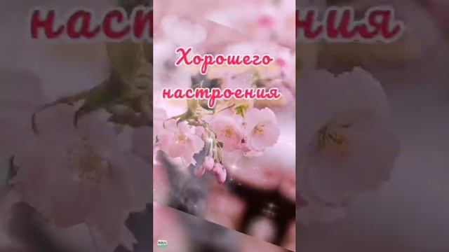 Хорошего настроения