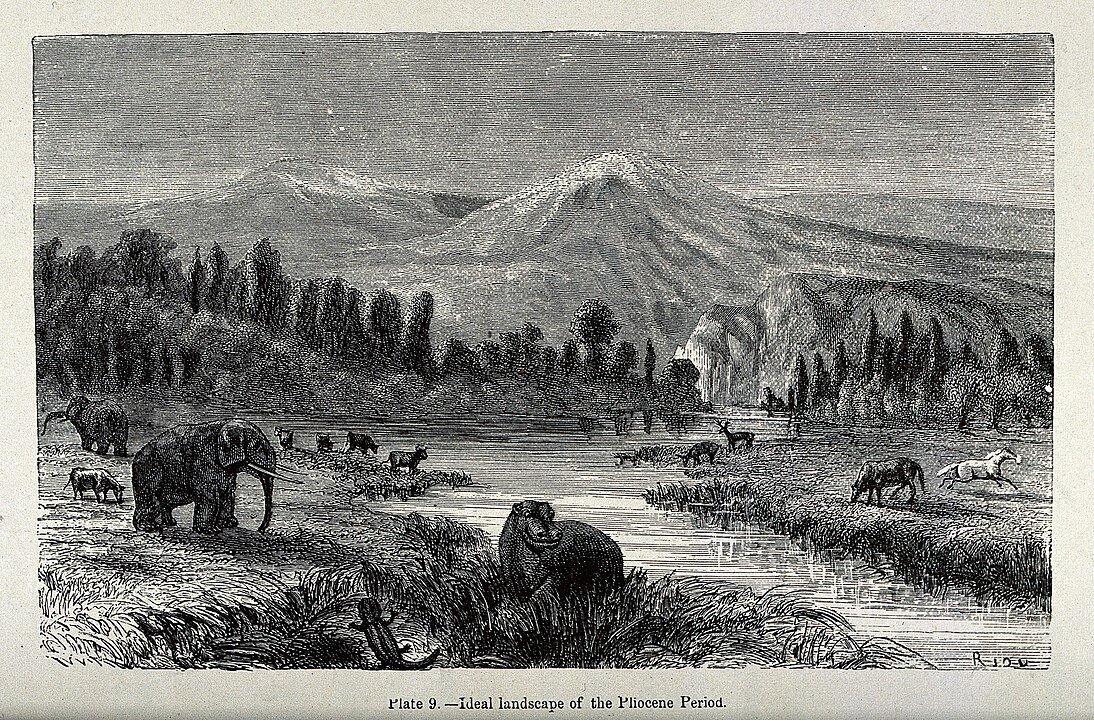 #16 Кайнозойская эра. Неогеновый период. Плиоцен