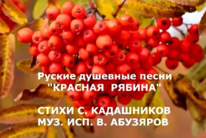Русские песни «КРАСНАЯ РЯБИНА» слушать песню и стихи о рябине  скачать ЛУЧШИЕ НАРОДНЫЕ ПЕСНИ онлайн
