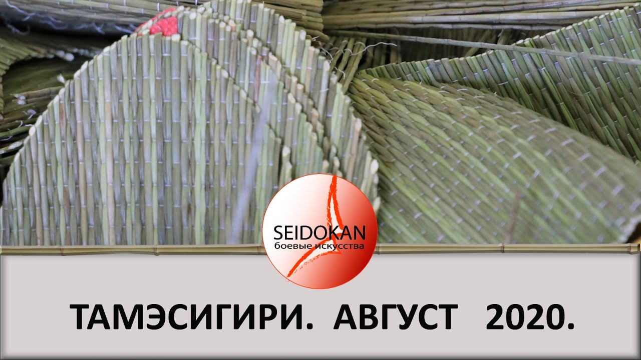 Семинар по Тамэсигири для группы кендо. 2020..mp4